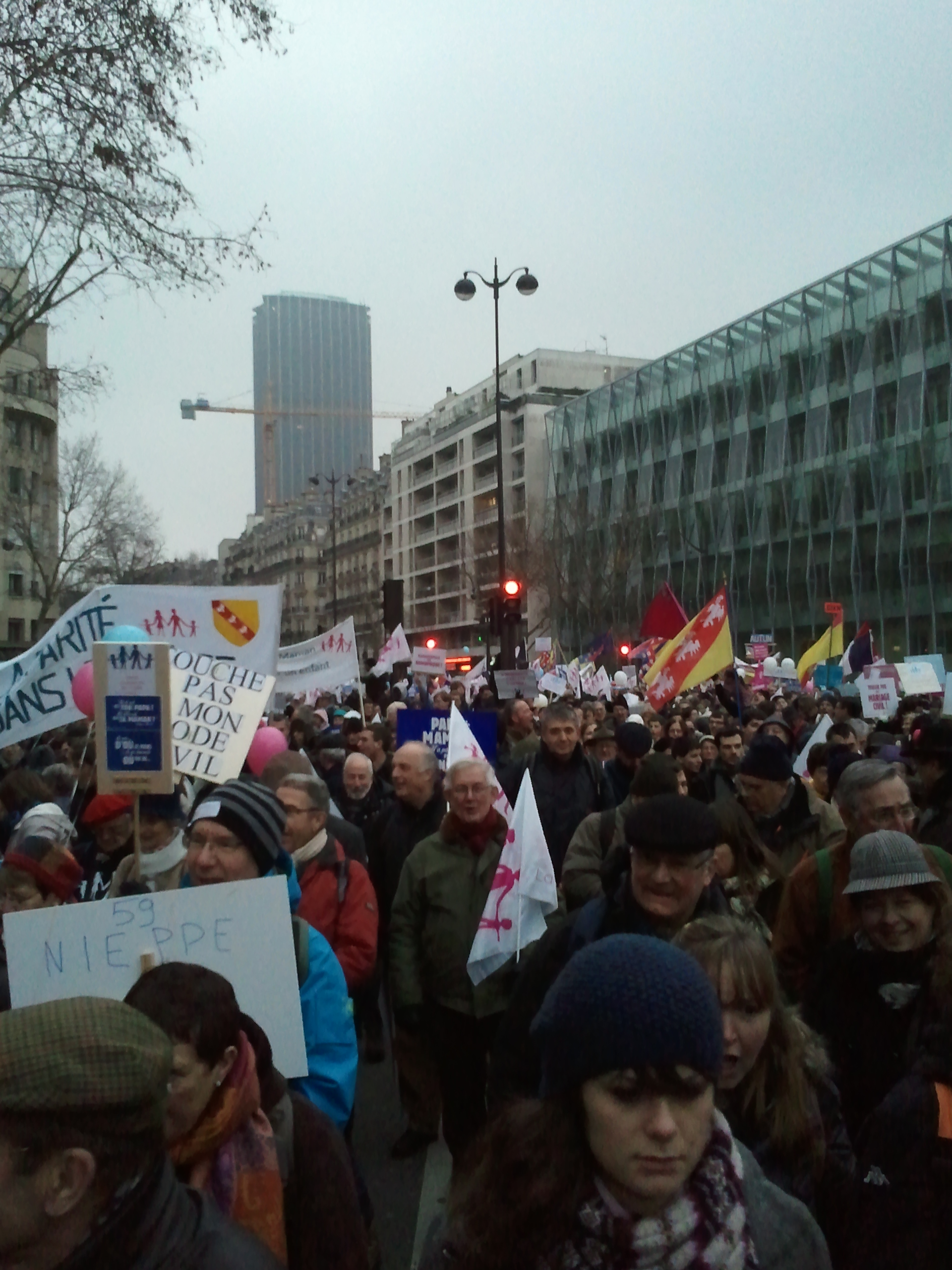 2013. « La manif pour tous » en images : selon les organisateurs, un ...